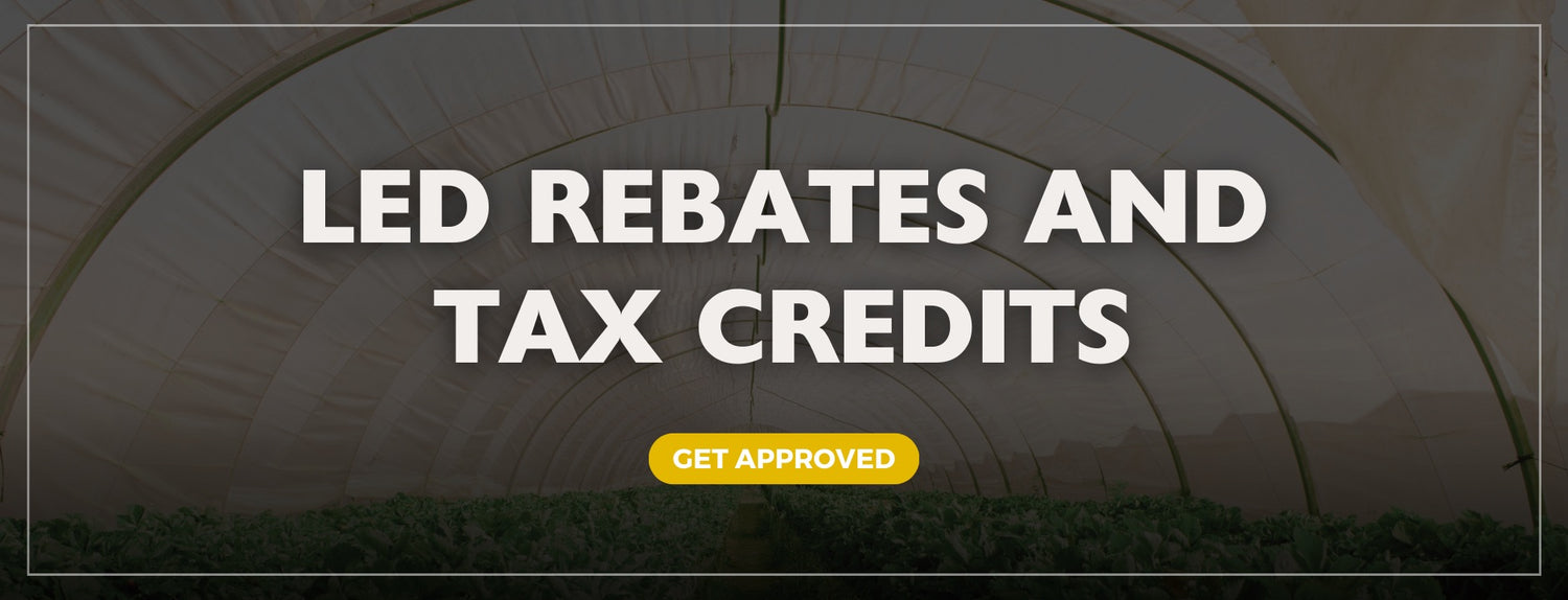 Commercial Account – Seres